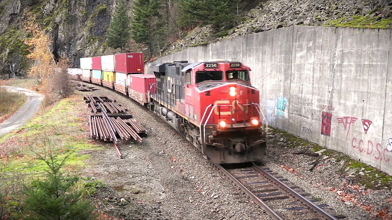 Fast Canadian National tanker and stack train rolling through South ...