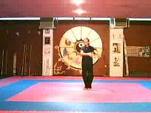 24 form (short) Yang style tai chi chuan - YouTube