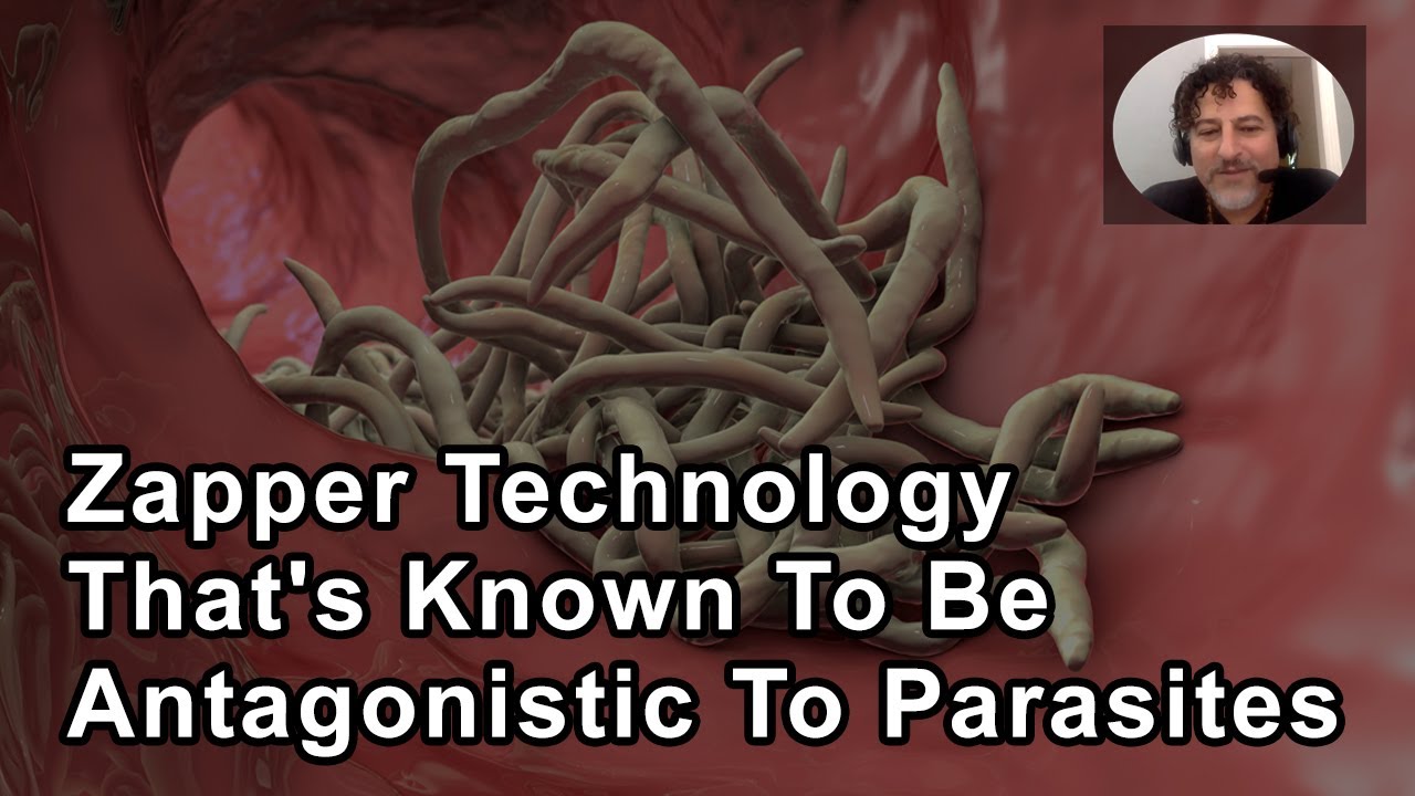 The 1980 Zapper Technology That's Known To Be Antagonistic To Parasites ...