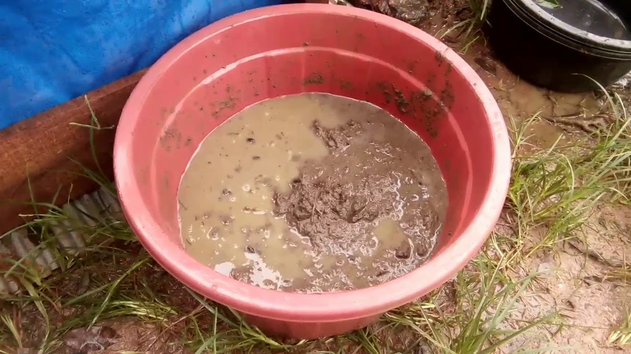 Casut Di Dekat Rumah. - YouTube