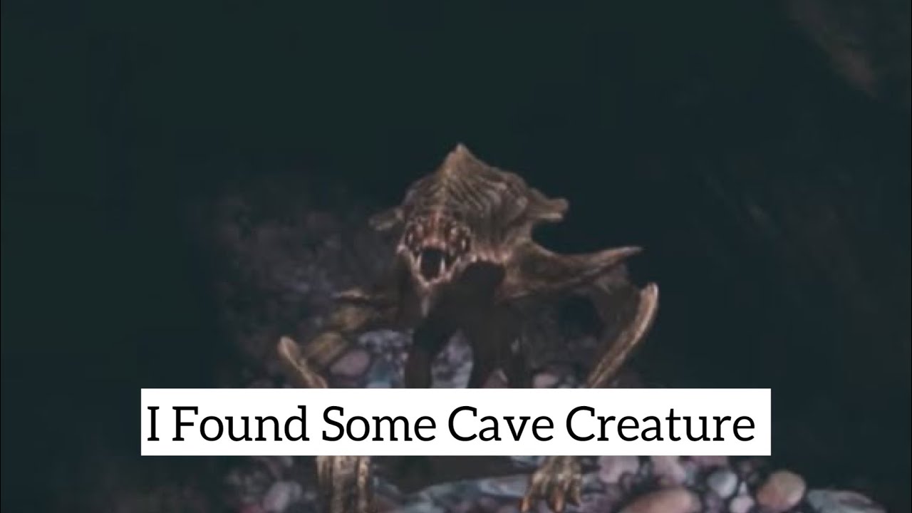 I Found Some Weird Cave Creature - YouTube