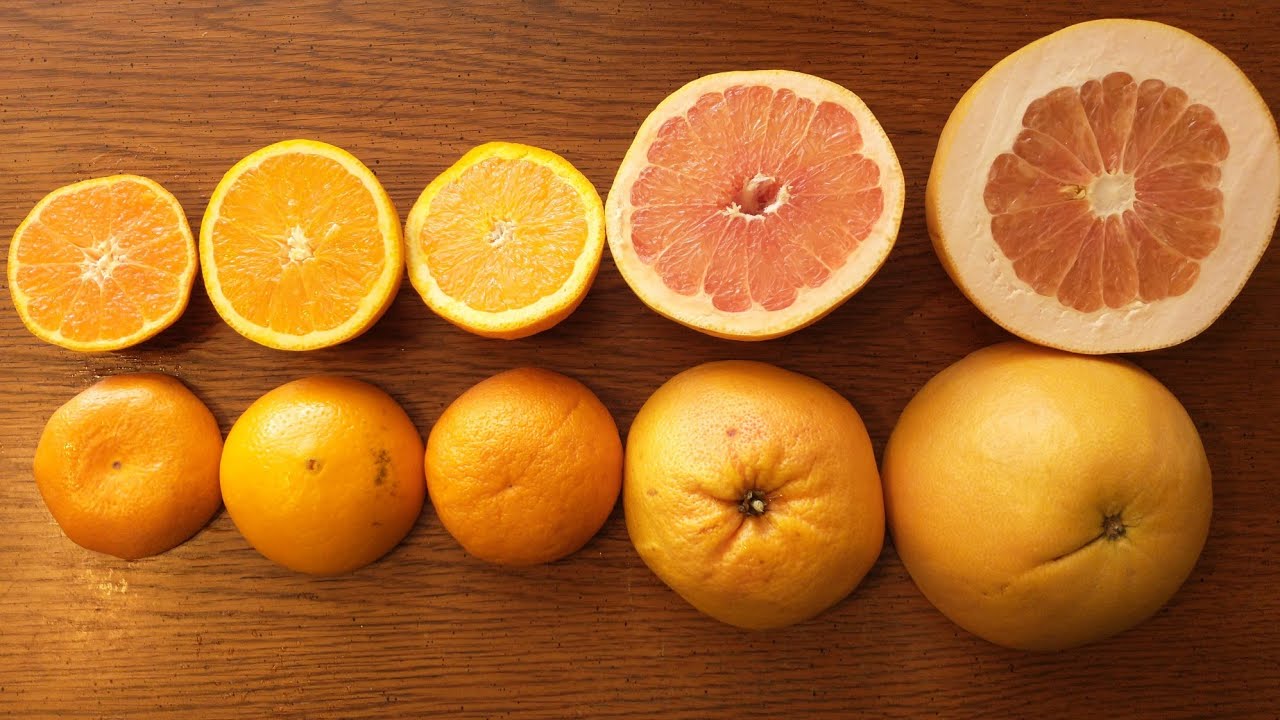 Citrus Varieties Information - YouTube