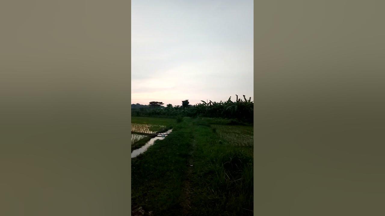 LAGI LAGI HUNTING BUS - YouTube