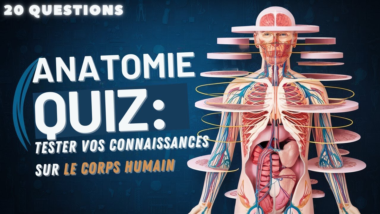 Quiz Anatomie Humaine : 20 Questions pour Tester Vos Connaissances Sur ...