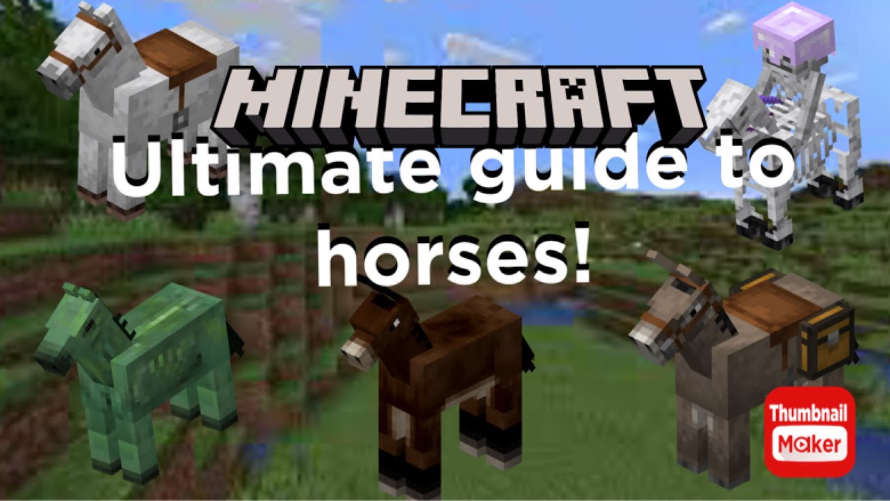 Ultimate guide to horses! Minecraft bedrock - YouTube