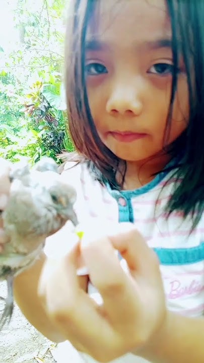 subrang mabait na ibon kayang pakainin ng batang babae #fypviral #videoviral #cutegirl # ...