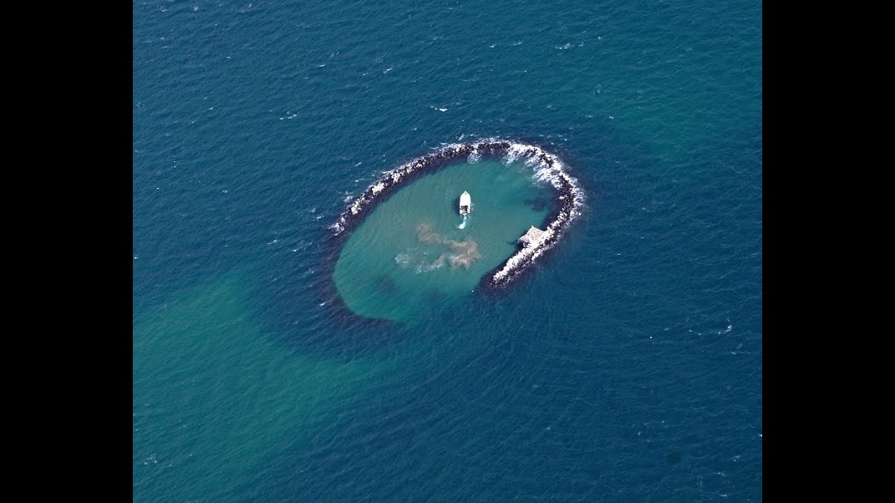 Snorkelling the Pope's Eye - YouTube