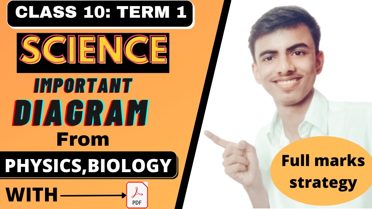Class 10 Term 1 Science Important Diagram| All important diagram of ...