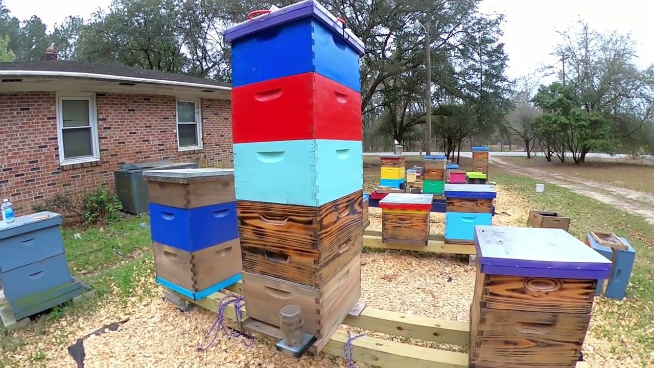 Demaree inspection and redux beehive manipulation - YouTube
