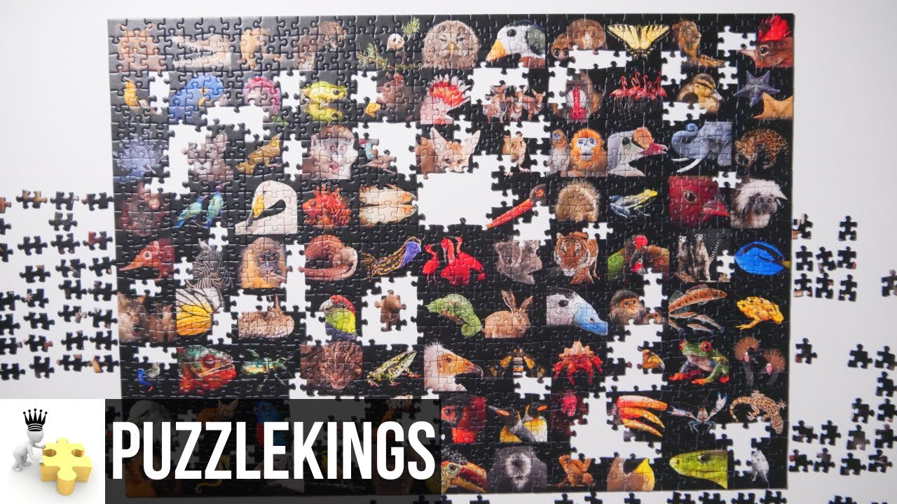 National Geographic 99 Amazing Animals Puzzle - Time Lapse | Puzzle ...
