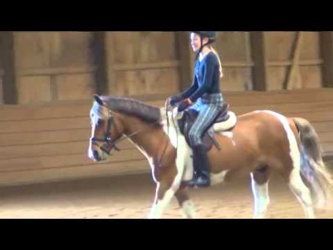 Marcus and Lena - USDF intro test C - YouTube