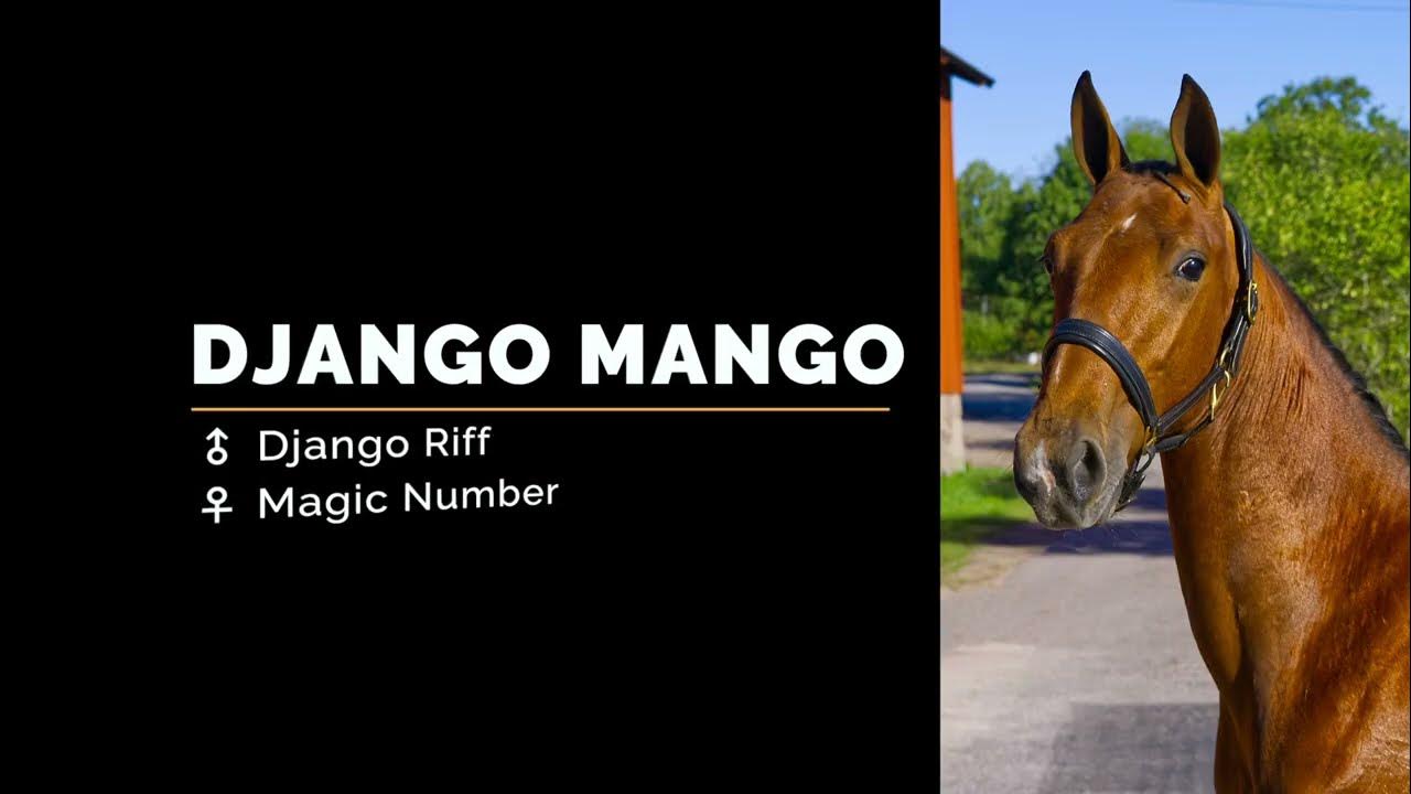 Django Mango - YouTube