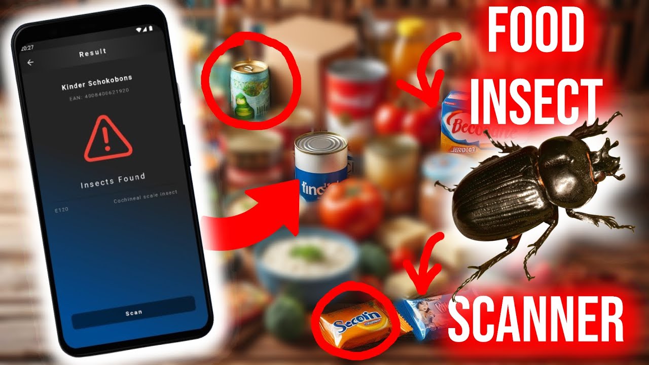 Which foods contain insects? This app can show you. - YouTube
