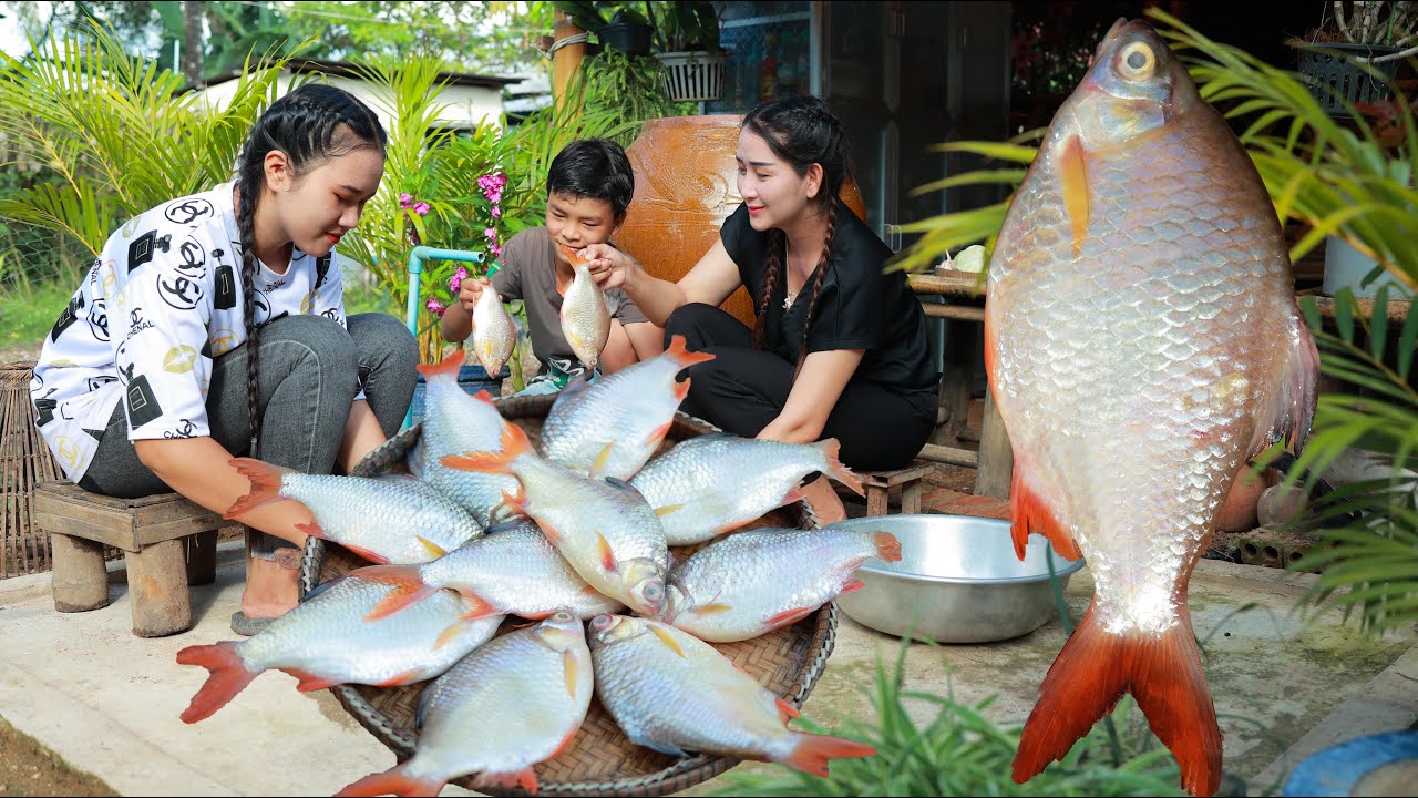Cooking Crispy Red Tail Fish Recipe - Crispy Red Tail Fish Salad Recipe ...