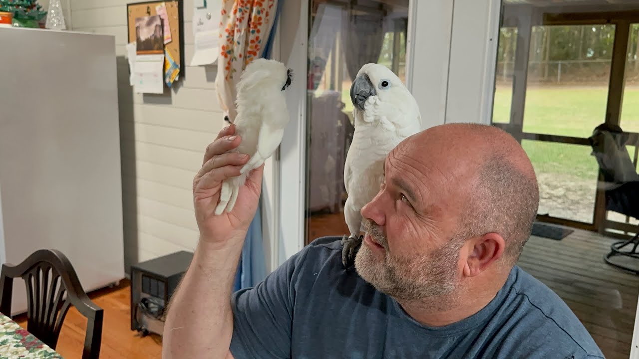 Buster’s back!!! With a vengeance - YouTube