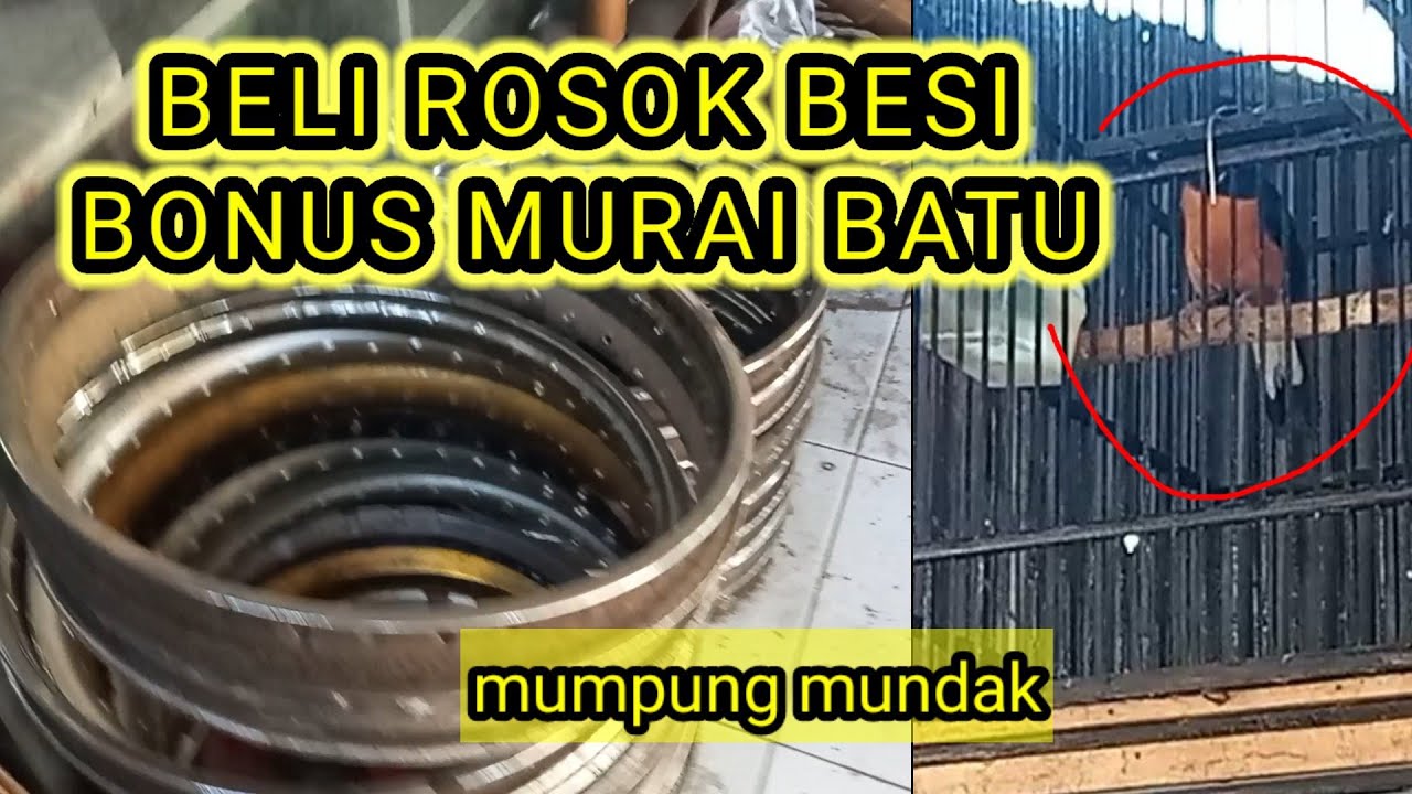 Harga rosok besi naik lagi 21/7/2023 #rosok #infohargabesi2023 - YouTube