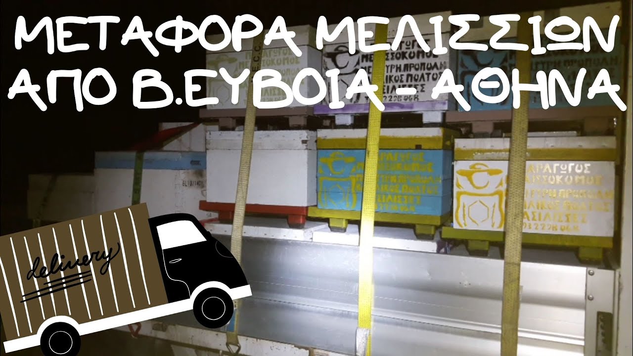 ΜΕΤΑΦΟΡΑ ΜΕΛΙΣΣΙΩΝ ΑΠΟ Β.ΕΥΒΟΙΑ - ΑΘΗΝΑ 🐝 🐝 🐝 - YouTube