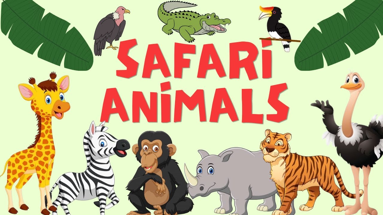 African Safari Animal|Wild Animal For kid|Land Animal|Animal with Sound ...
