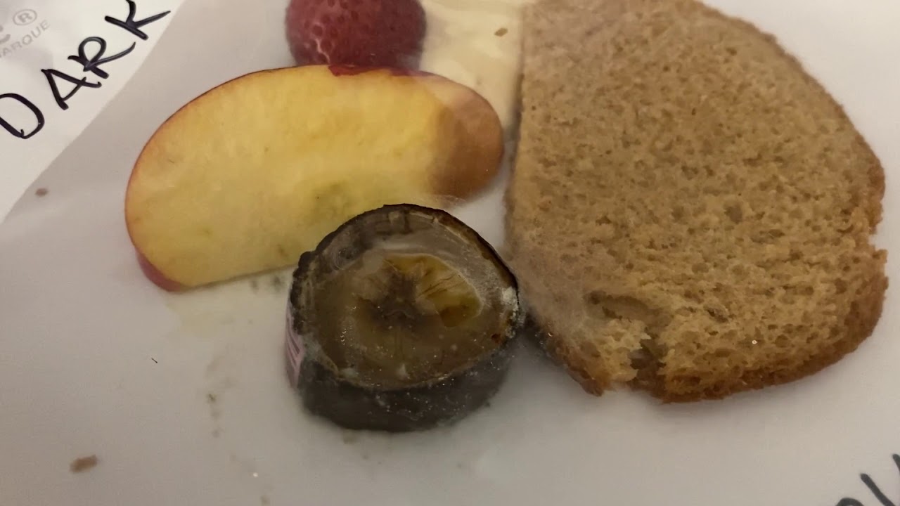 Where do fallen leaves go - YouTube