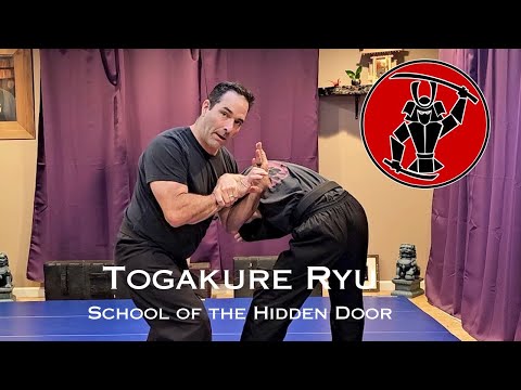 Togakure Ryu Ninjutsu,  Hidari Tonso no Kata