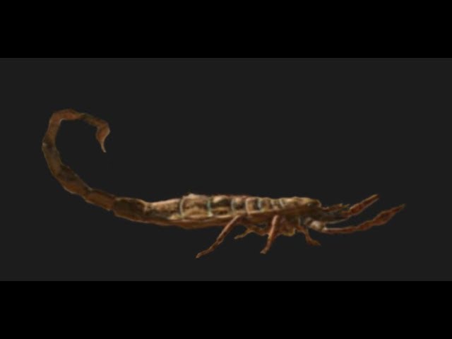 Primeval New World Brontoscorpio