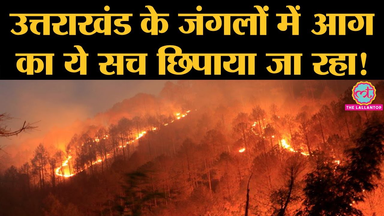 Uttarakhand Forest Fire पर बवाल मचा है, पर क्या Viral तस्वीरें झूठी हैं ...