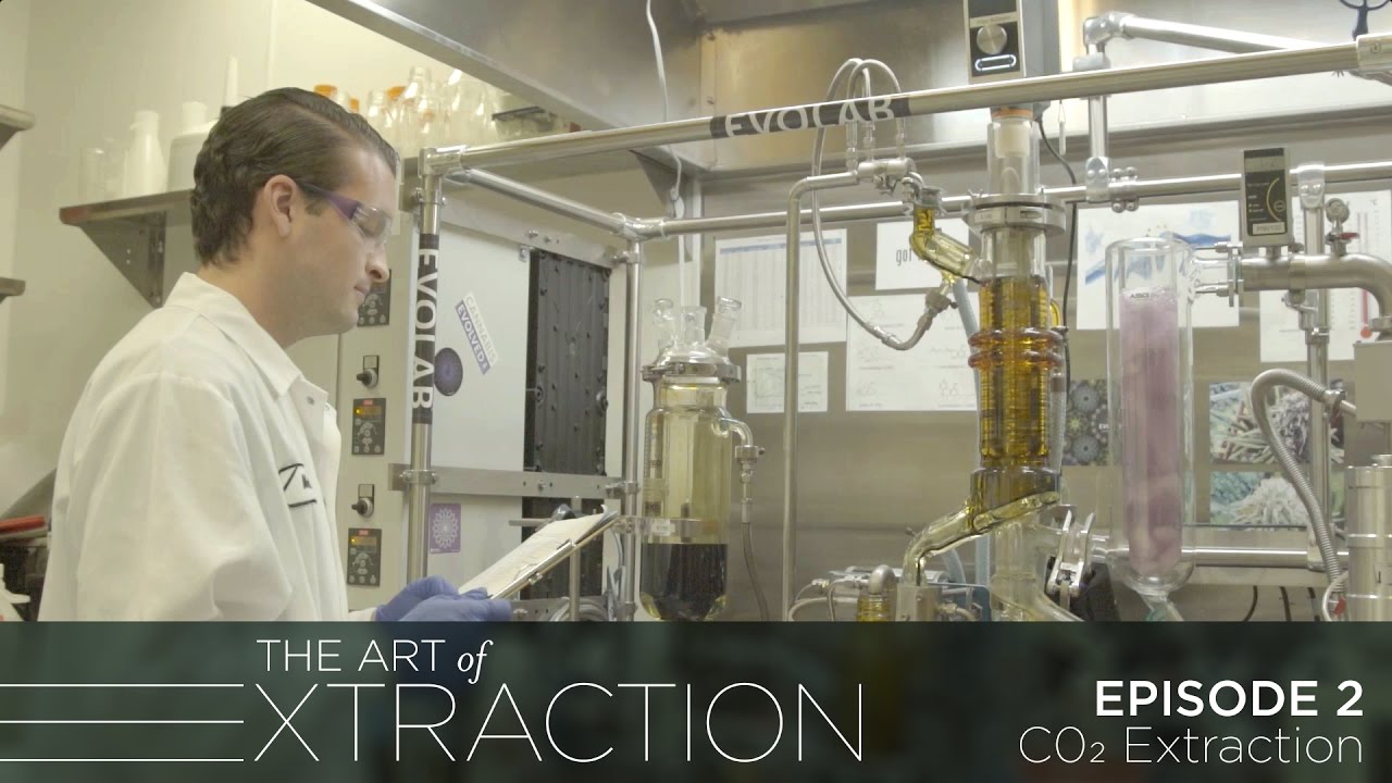C02 Extraction at Evolab: The Art of Extraction with Roxy Striar - YouTube