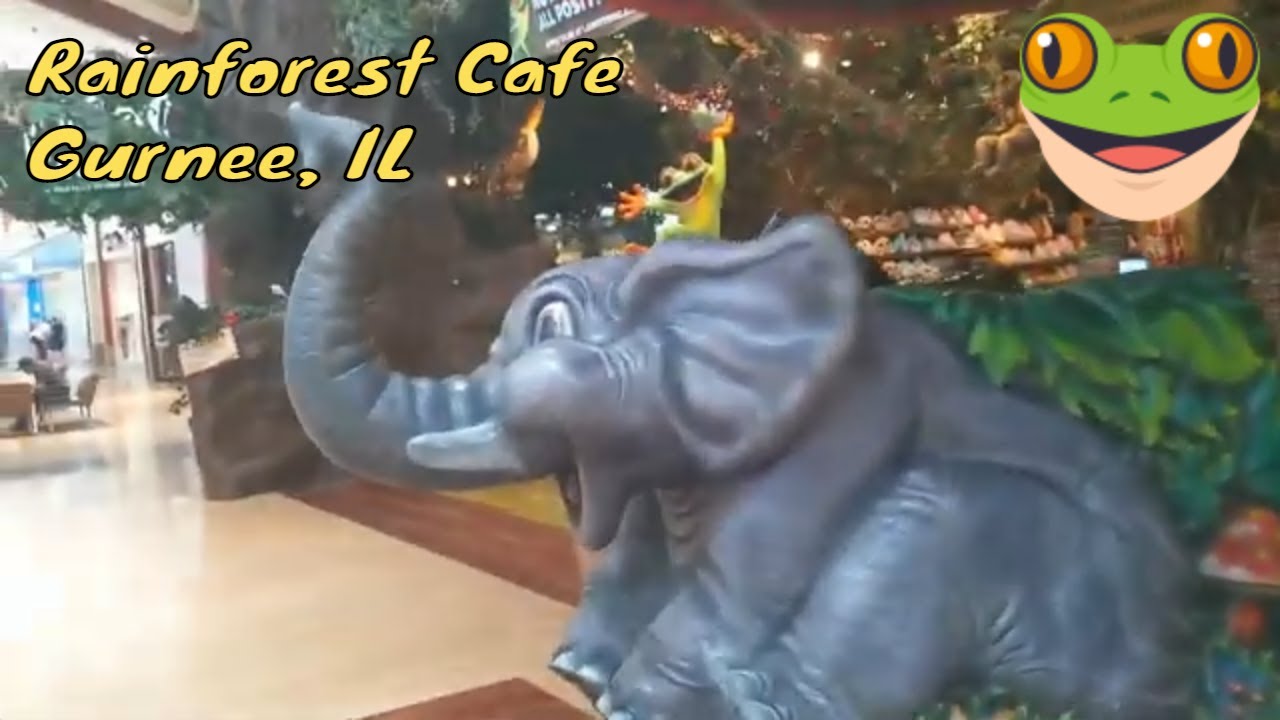 Rainforest Cafe - YouTube