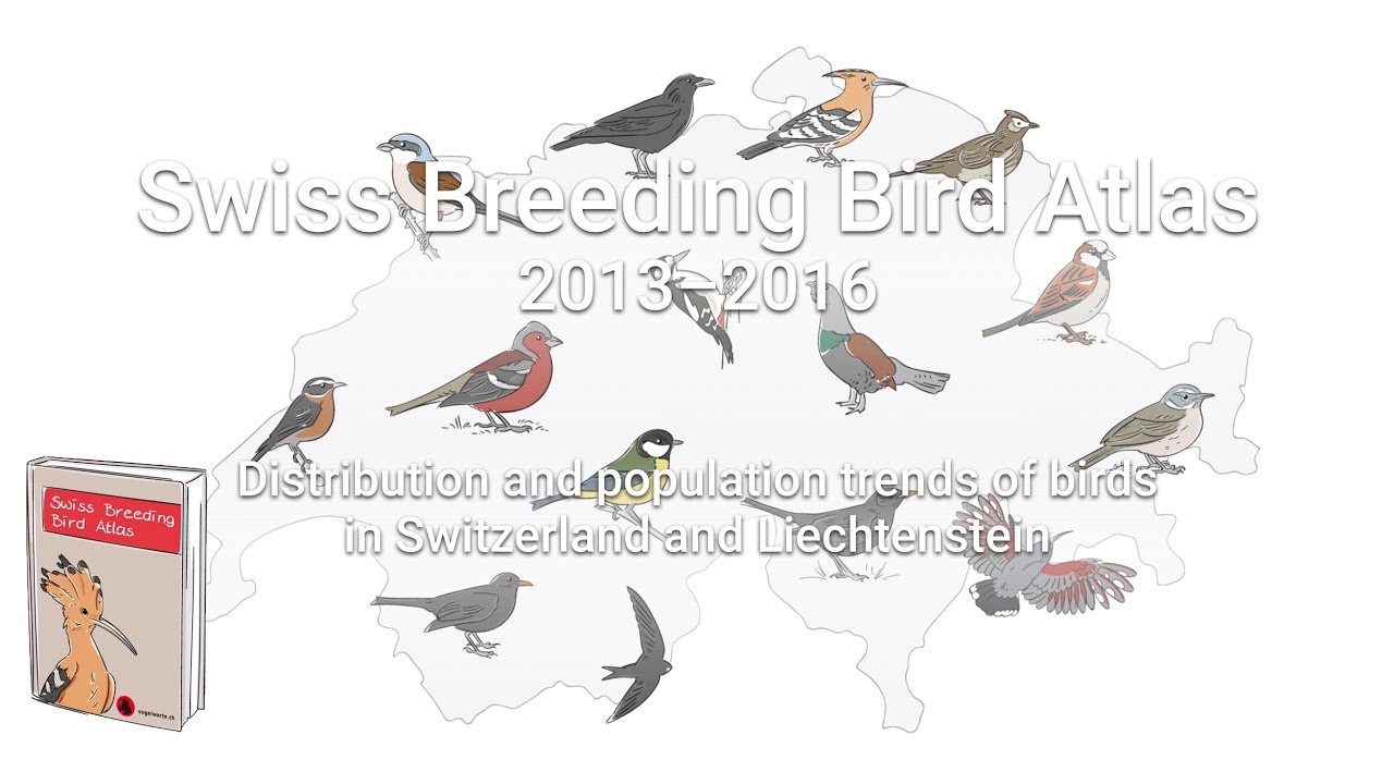 Swiss Breeding Bird Atlas 2013–2016 - YouTube