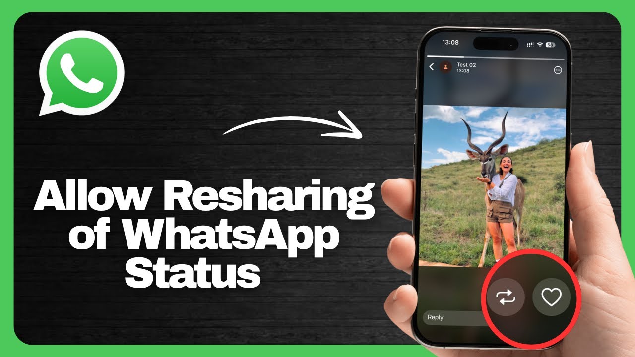 How to Enable Resharing Of Your WhatsApp Status | Turn on Reshare ...