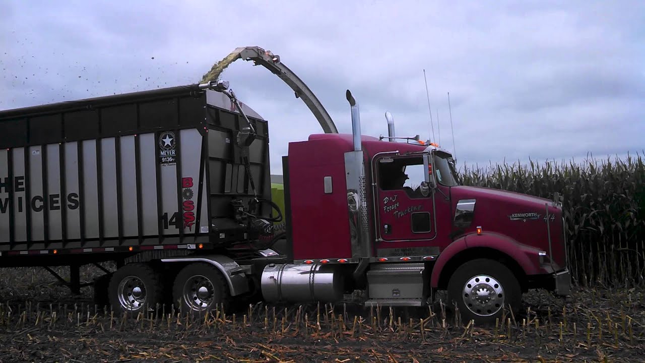 Claas Chopping Corn - YouTube