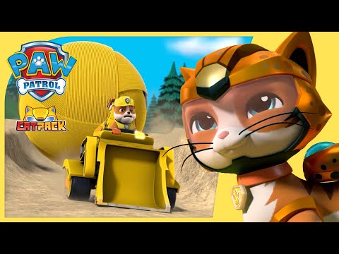 The Cat Pack Stop a Giant Ball of Yarn 🧶 + More Cartoons for Kids | PAW Patrol Episode