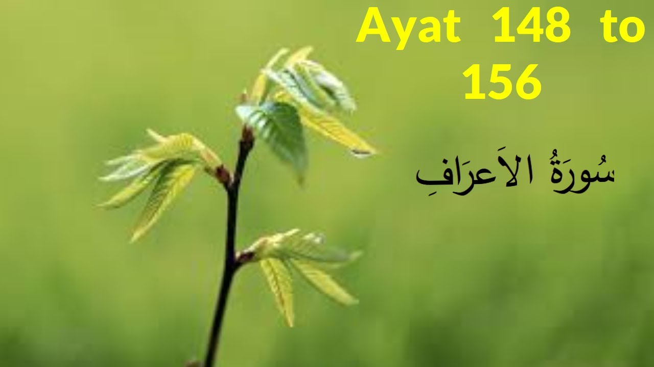 Surah Al Araf Ayat No 148 to 156