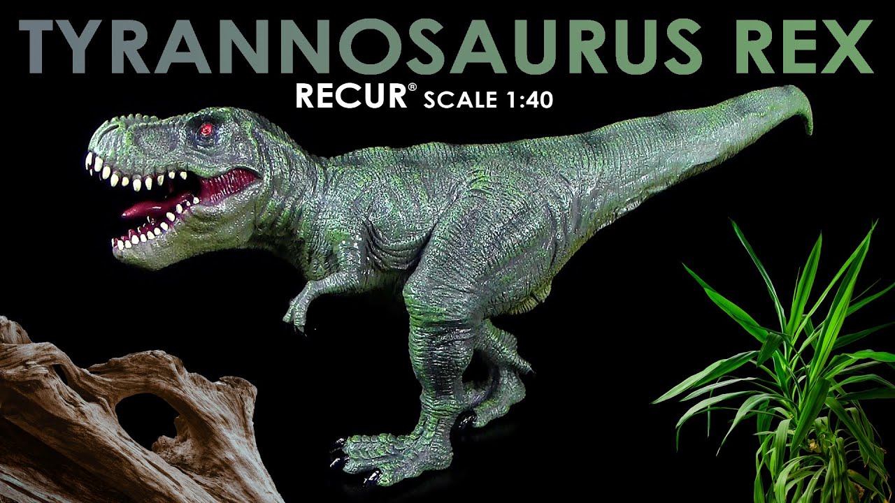 Recur ® Tyrannosaurus Rex / T-Rex - Dinosaurier Review (Deutsch ...