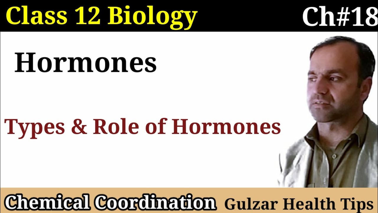Hormone | types of hormones | Role of hormones | Class 12th Biology ...