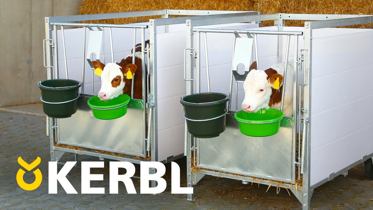 Erweiterungsset für Kerbl Kälberboxen - YouTube