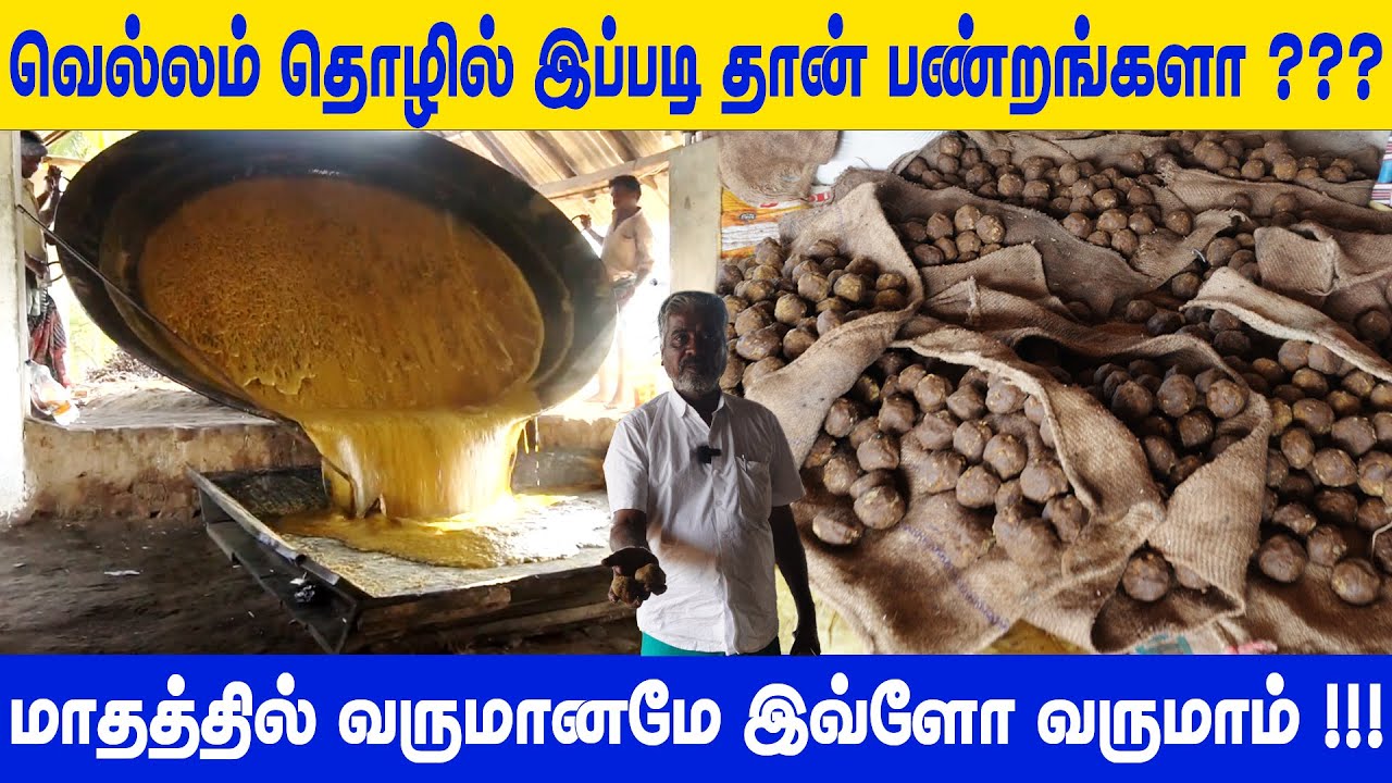 அச்சு வெல்லம் தயாரிப்பு | Achu Vellam Making | Jaggery Making With ...