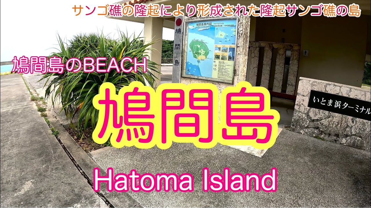 【鳩間島】鳩間島 日帰り島旅 Hatoma Island - YouTube