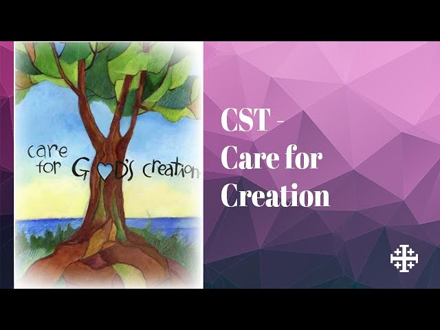 Care For Gods Creation Catholic Social Teaching Care For Gods Creation
