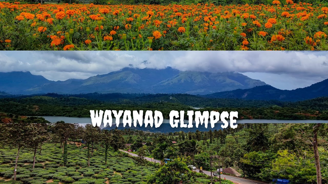 Kerala | Wayanad | Hill station | Travel story | Kerala tourism ...