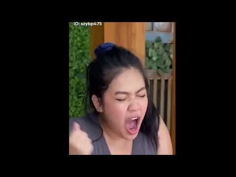 manusia wik wik ama monyet