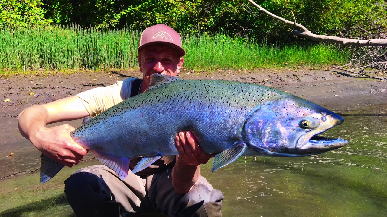 Dave Scadden's Dragon Fly XTC 3 Kitimat Steelies With Tracey Hittle and ...