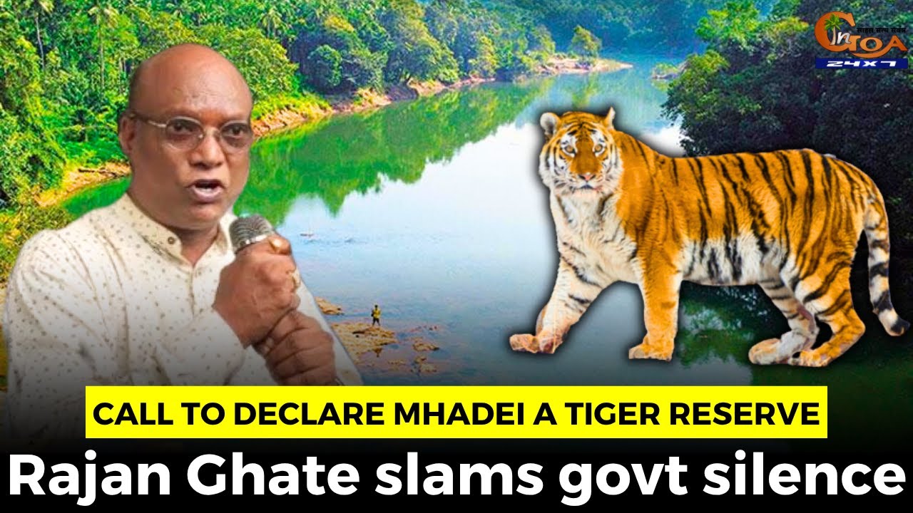 Call to Declare Mhadei a Tiger Reserve. Rajan Ghate slams govt silence ...