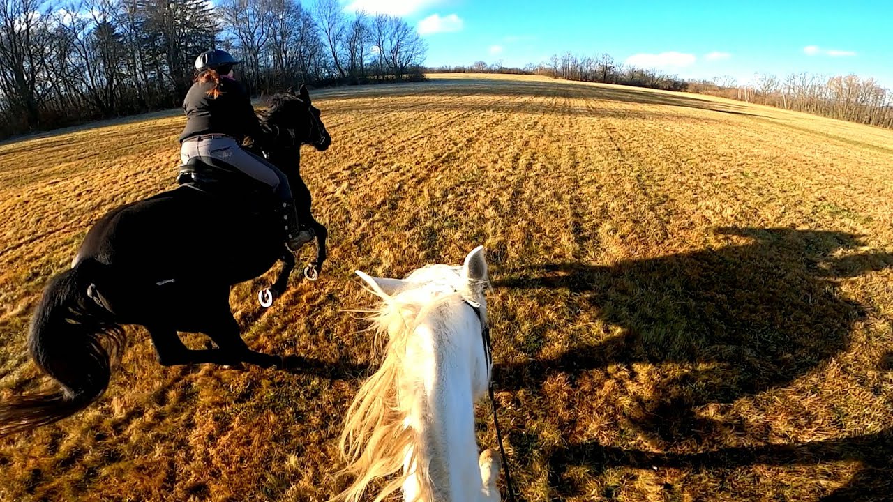 horse riding /GoPro Hero 8 / 2020 - YouTube