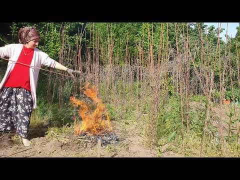 #efeminbisiklet#KAZASI#😭AKCAABAT KOYUNDE YASAYRIM💓YAKTIM BURALARI