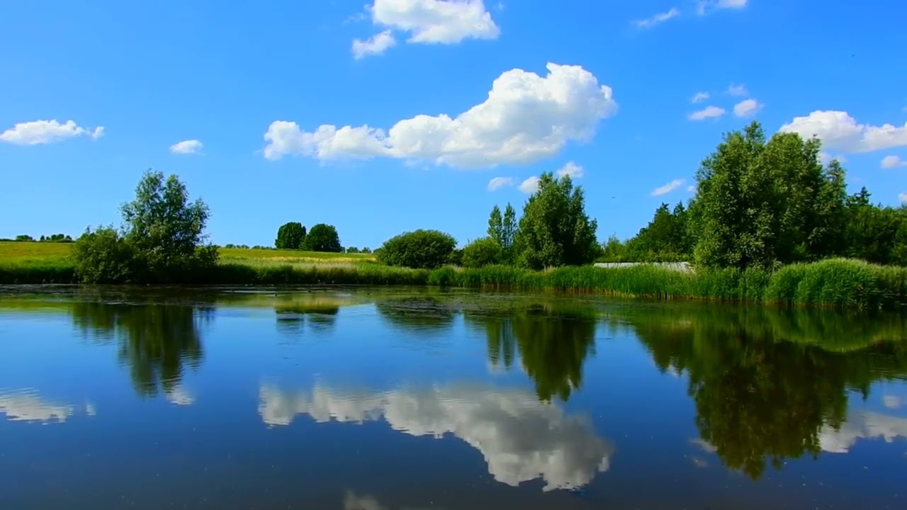 Nature Video No Copyright/Nature Videos/Nature Videos No Copyright ...