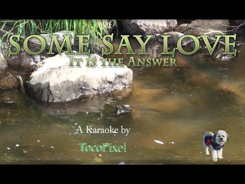 Some Say Love (a karaoke) - YouTube