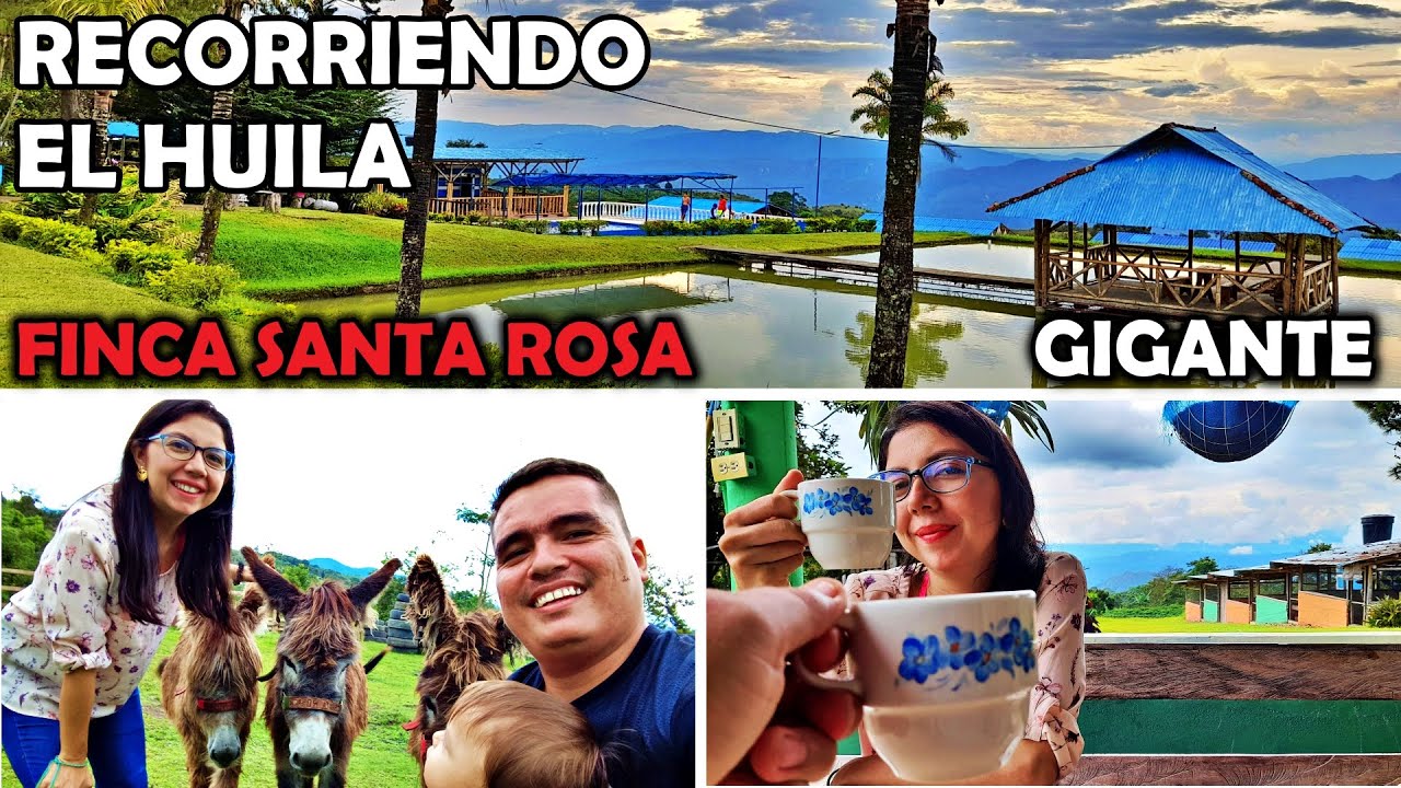 FINCA SANTA ROSA| EL MEJOR PLAN FAMILIAR EN EL CENTRO DEL HUILA ...