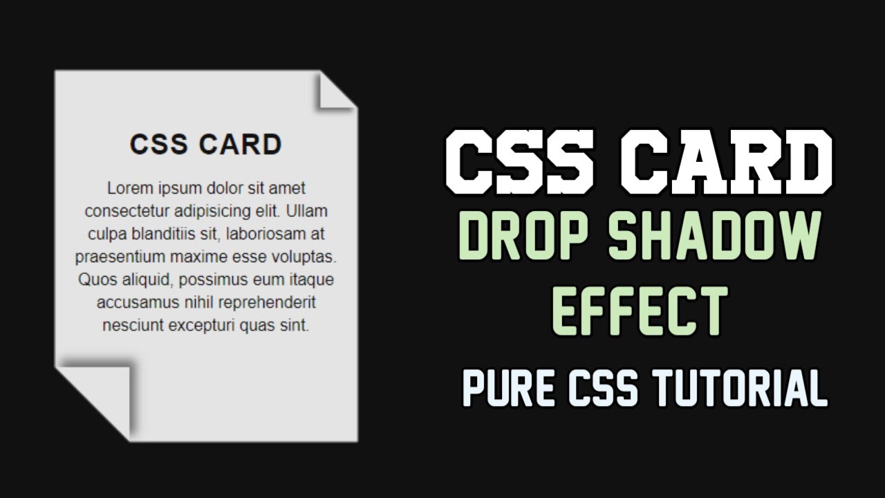 Css Card With Drop Shadow Effect Html5 And Css3 Full Tutorial Youtube