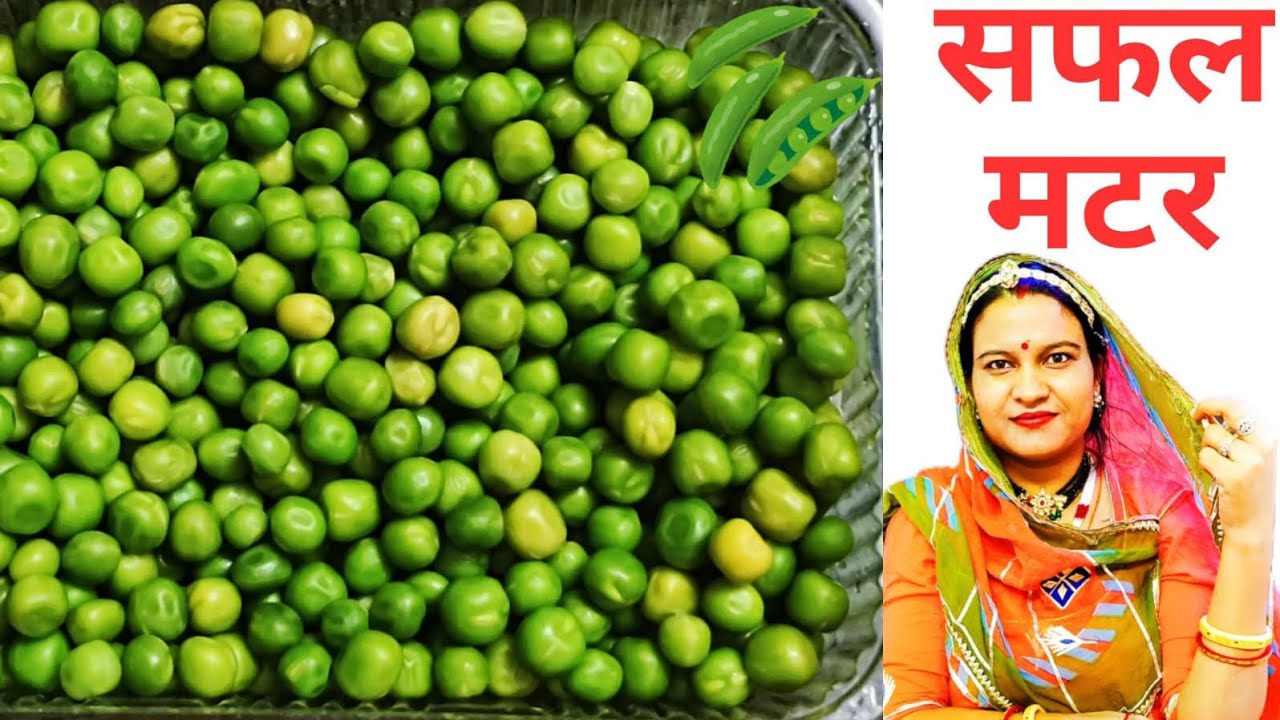 सफल मटर बनाने का तरीका || Safal matar recipe|| By Rinku ki Rasoi - YouTube